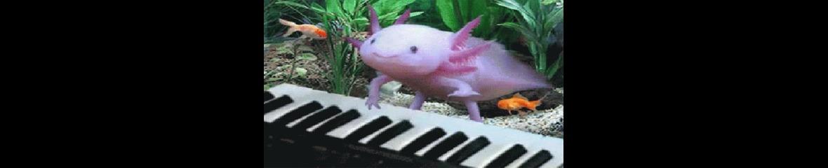 axL Beats: Buy Beats by axL Producer Online | TRAKTRAIN