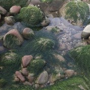 perc40 Type Beat: Download Free perc40 Type Beat Instrumental | TRAKTRAIN