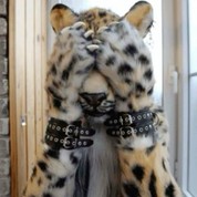 tdf Type Beat: Download Free tdf Type Beat Instrumental | TRAKTRAIN