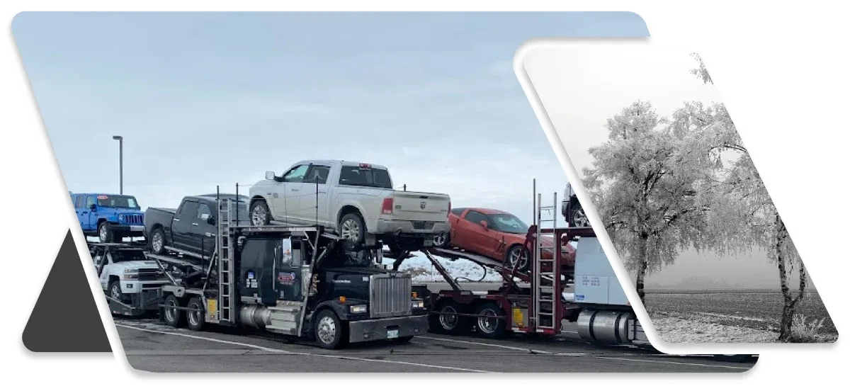 Car Relocation & Moving Services | Professional Car Carriers