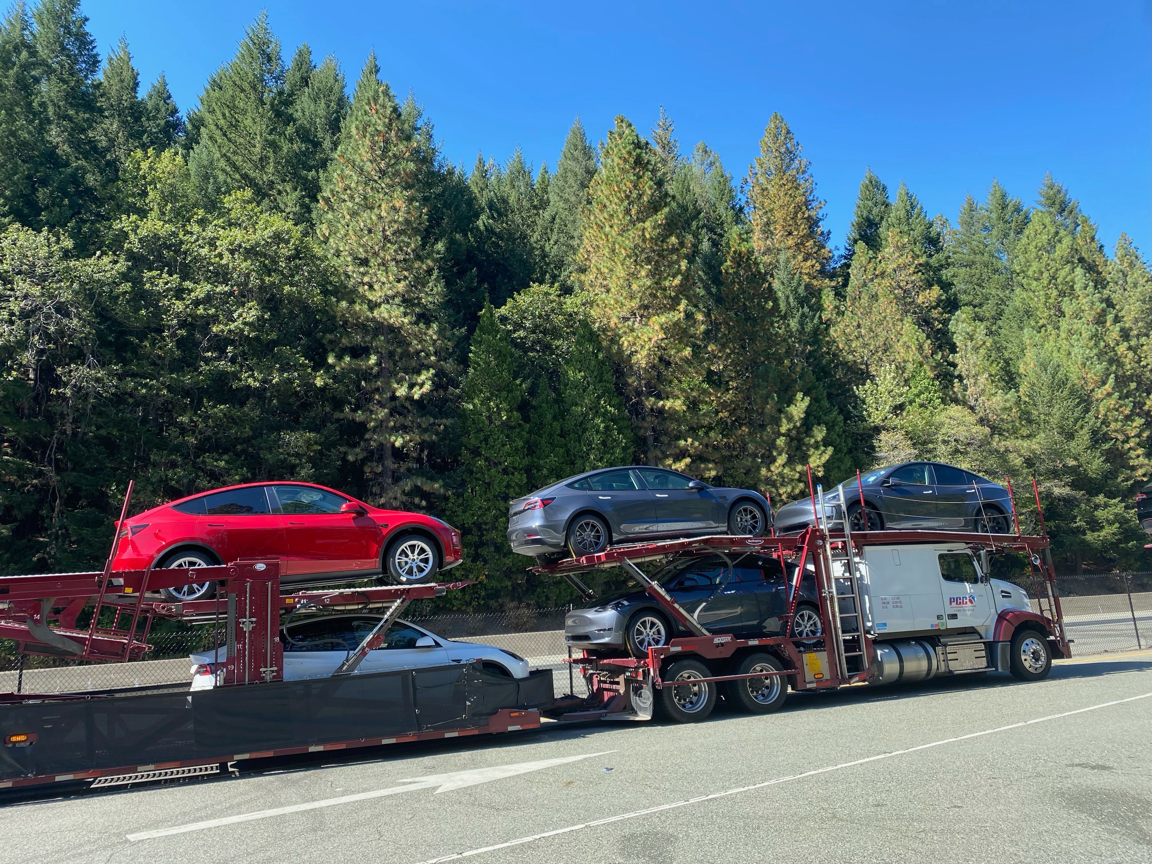 Winter Activities for Canadian Snowbirds: How to Make the Most of Your ...