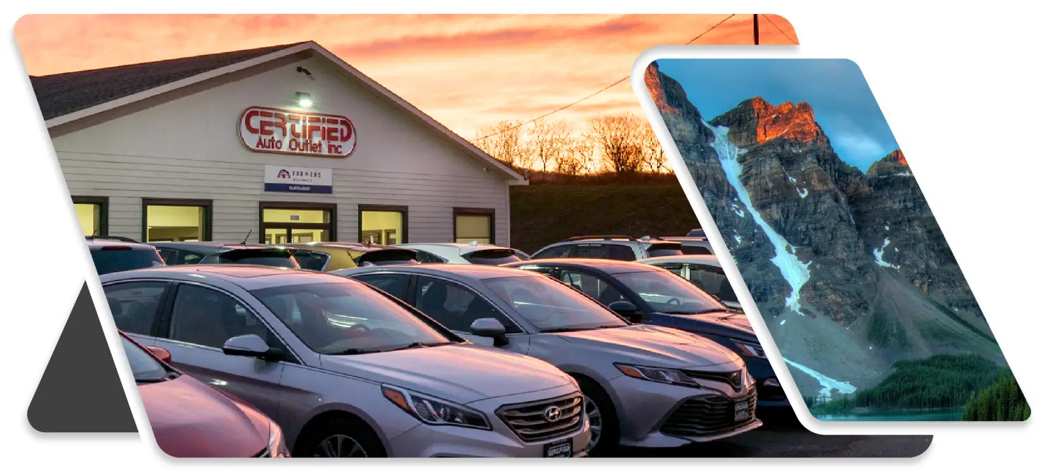 Professional Car Carriers: Dealership Transport Service | Professional ...