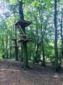 Raven Tree Top Adventure - Discover Grassington
