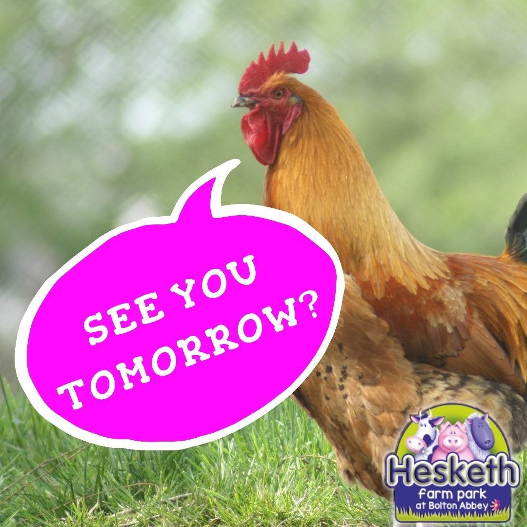 Hesketh Farm Park - Discover Grassington