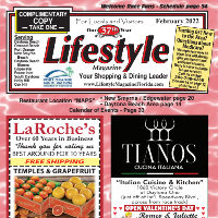 Lifestyle Magazine - Arts & Entertainment - Professional