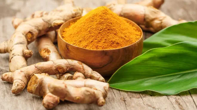 Mengenal Apa itu Tanaman Toga, Ini Jenis-Jenis & Manfaatnya | Sehat AQUA