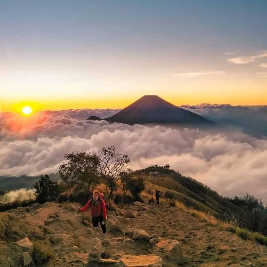 Mount Sindoro Experience