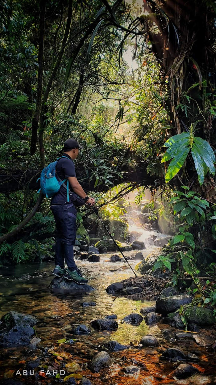 Salak Halimun Mountain National Park Experience