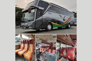 TOURISM BUS RENTAL