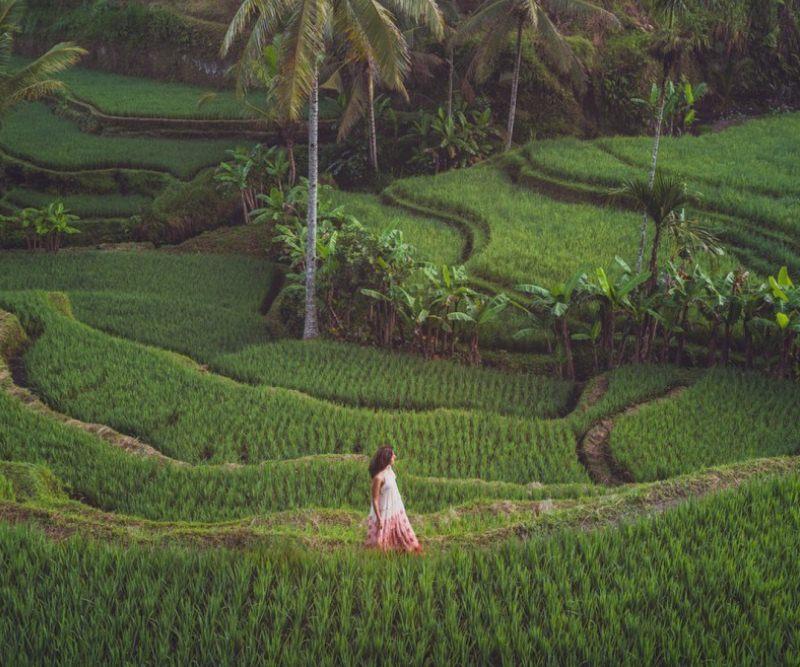 java-nature-private-tour