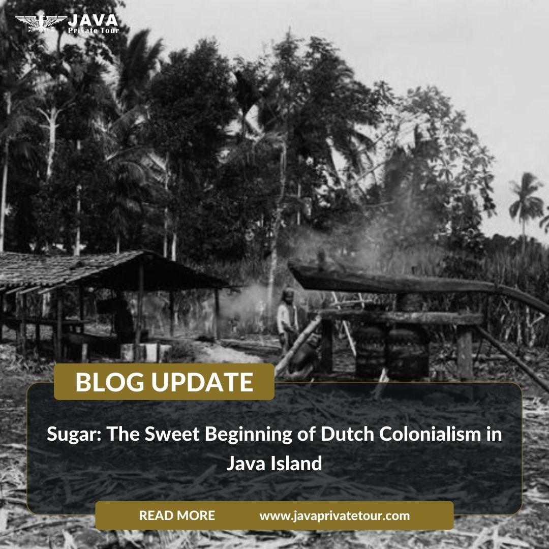 Sugar: The Sweet Beginning of Dutch Colonialism in Java