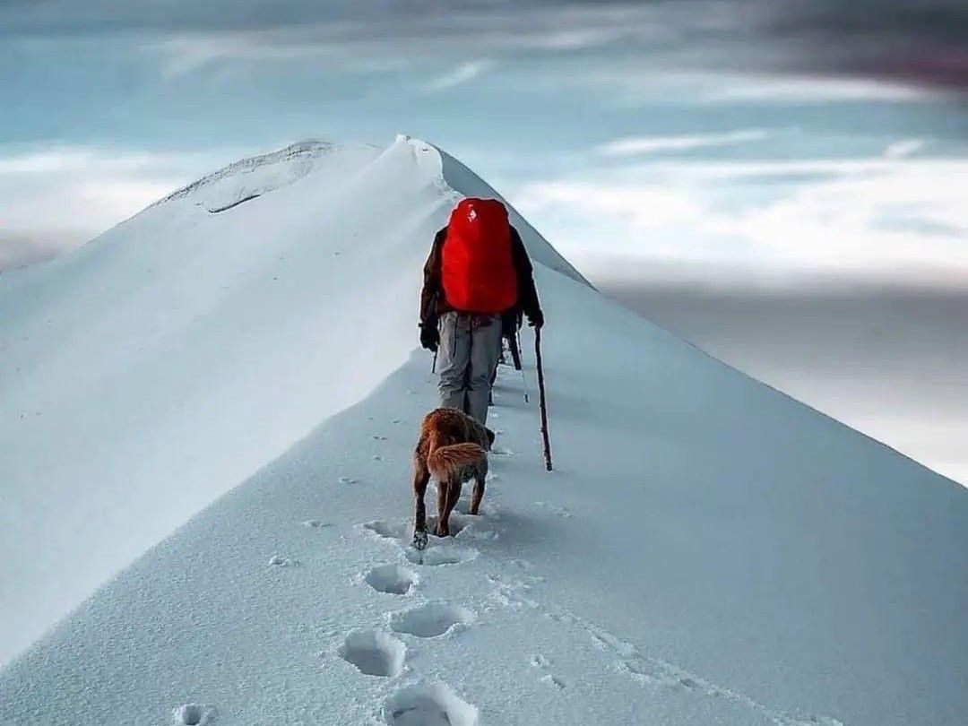 "Trekking Bali Pass: Journey Through the Himalayan Paradise"