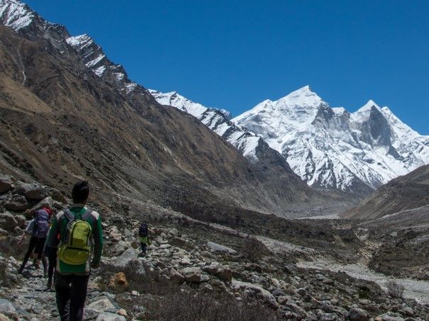 Wildlife Of Gaumukh Tapovan Trek