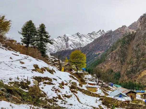 Embracing the Himalayan Tapestry: A Kheerganga Trek Odyssey