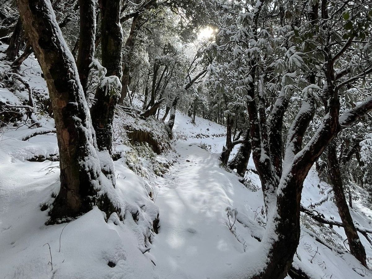 The Enchanting Nag Tibba Trek: An Ultimate Guide