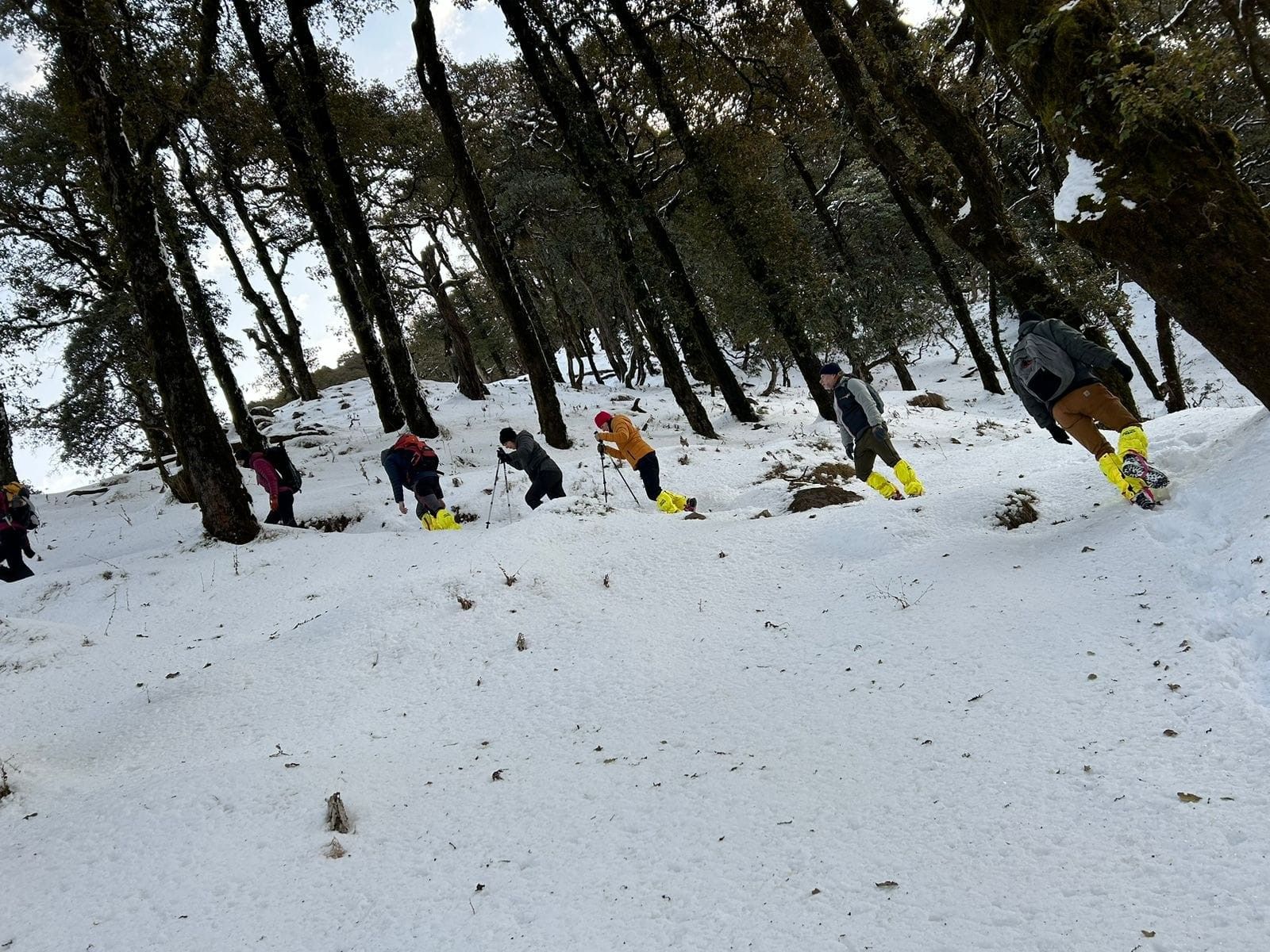 Exploring the Nag Tibba Trek: A Himalayan Adventure