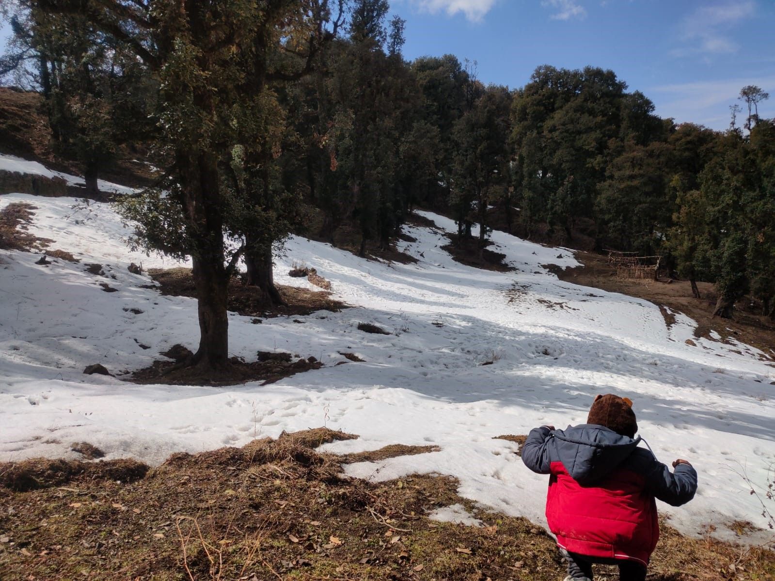 The Complete Guide to the Nag Tibba Trek
