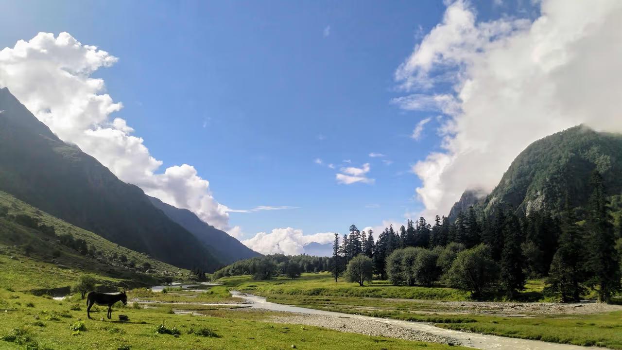 An Unforgettable Journey Pin Bhaba Trek - Conquering Challenges Amidst ...