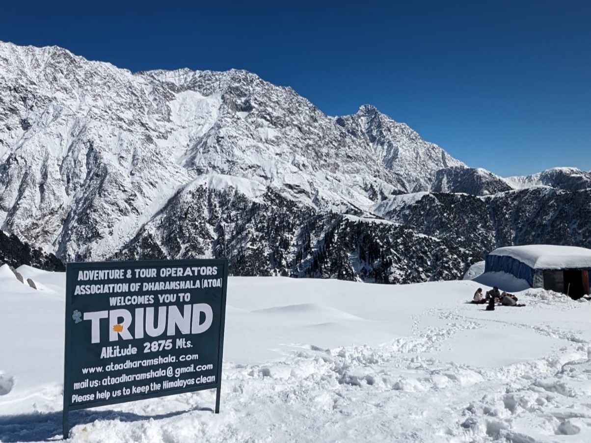 Nurturing Nature's Bounty: My Triund Trek Experience