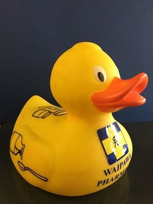 DUCKS! - Shop Central Hawke's Bay Photo Album By Waipawa Pharmacy