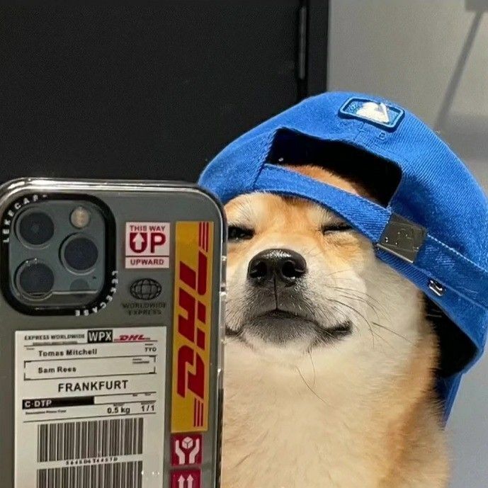 CERI123 > Kebijakan Gro-T Kennel Merilis Game Online Mudah Menang ...