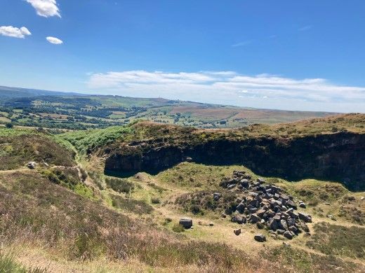 Reports - The Walking Club