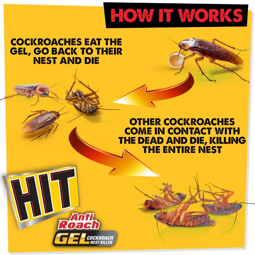 How To Get Rid Of Cockroaches With Hit Anti-Roach Gel