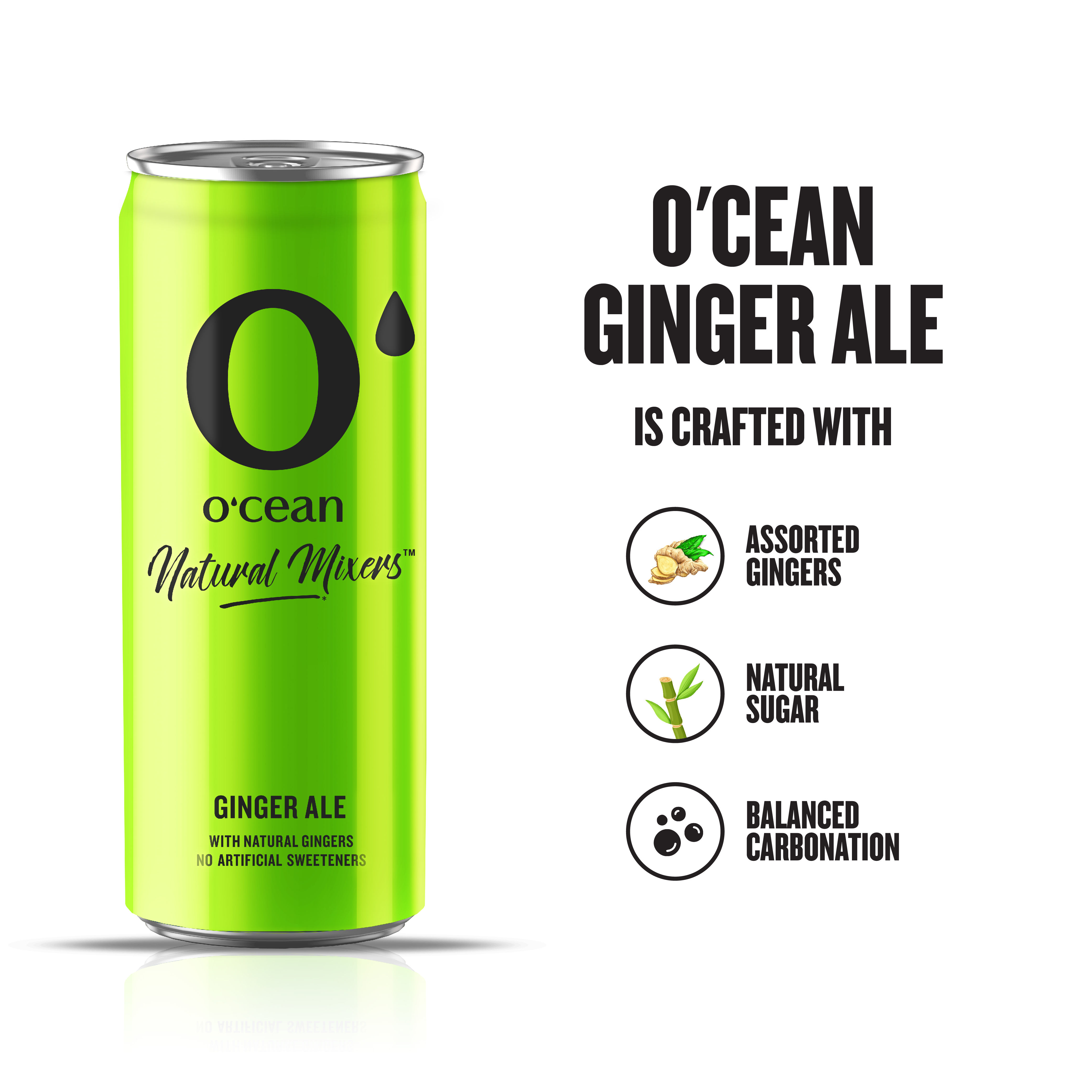 Buy O Smart Mixer Ginger Ale 250Ml Online at Best Prices | Wellness Forever