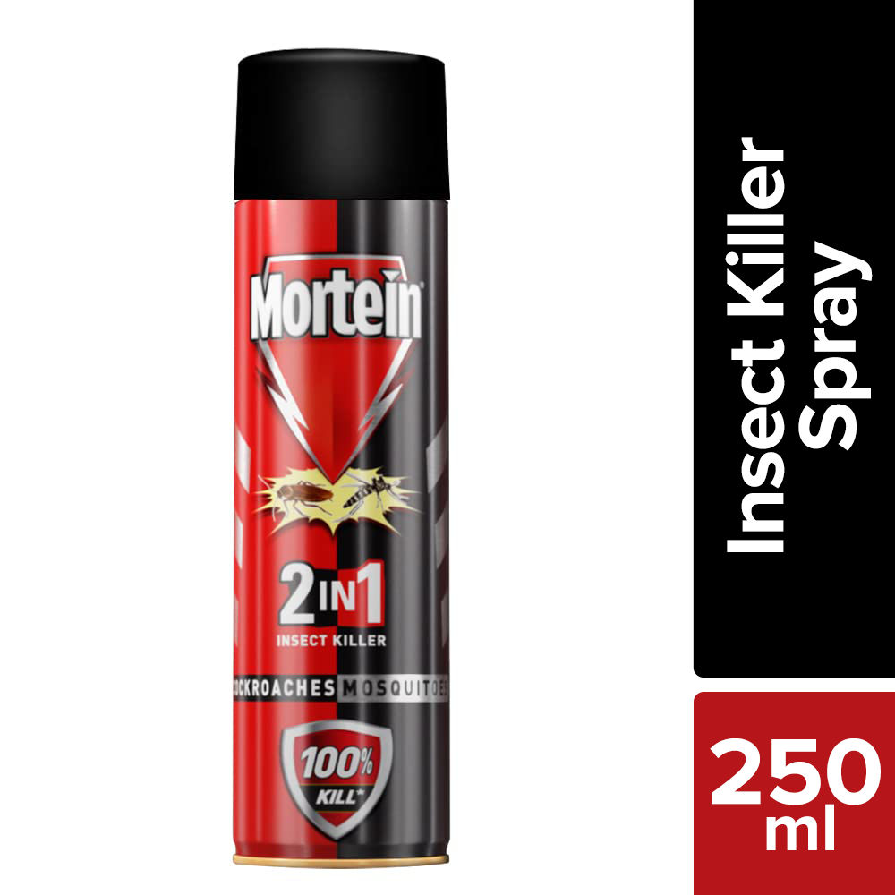 Buy Mortein 2-In-1 Insect Killer Spray 250ml Online at Best Prices ...