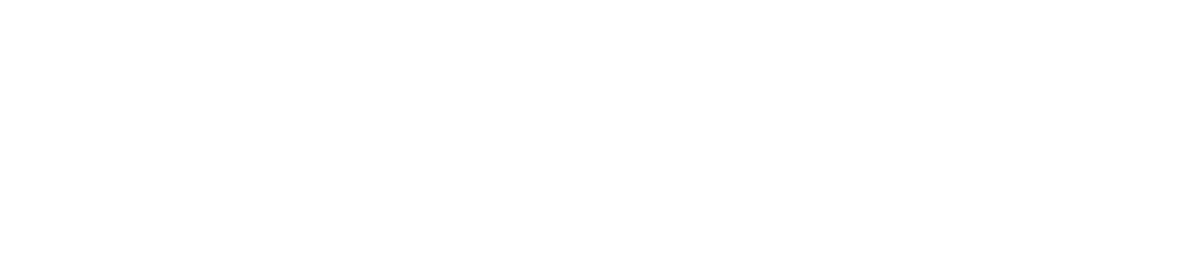 RevWise : Affiliate Marketing Agency | Total Affiliate Management