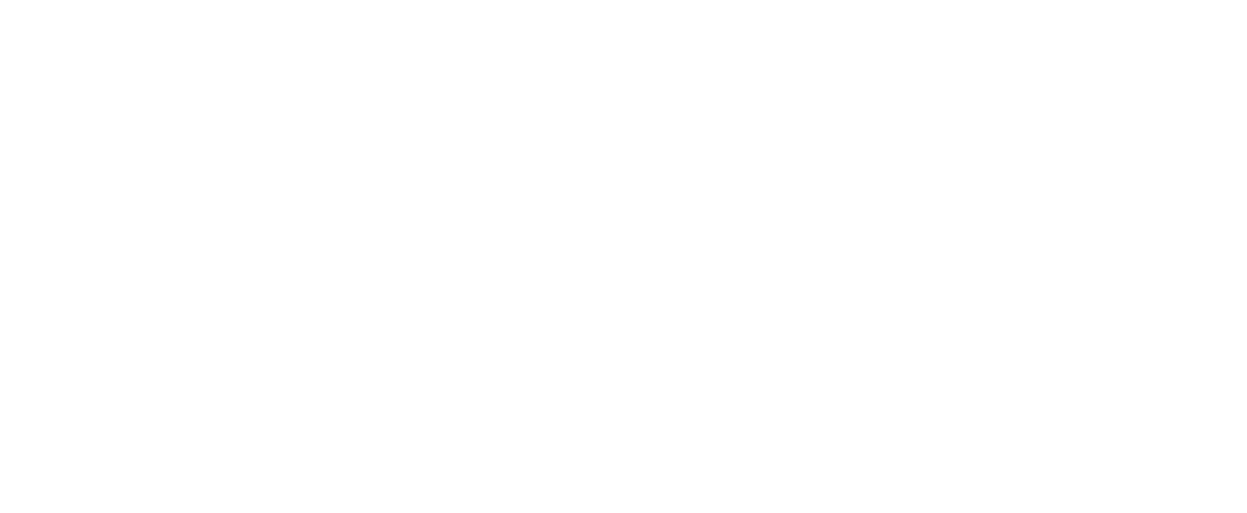 RevWise : Affiliate Marketing Agency | Total Affiliate Management