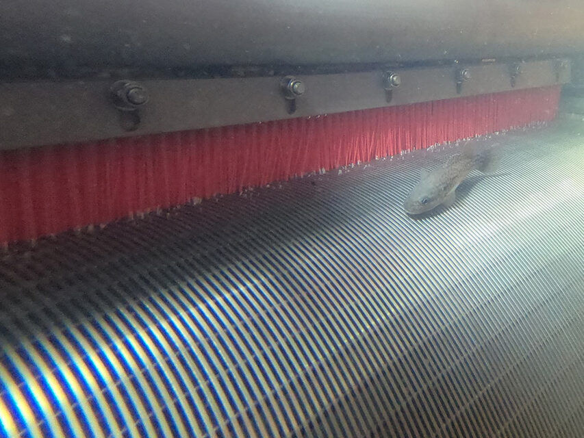 Self Cleaning Intake Screens - 3 waters sector Featured Products ...