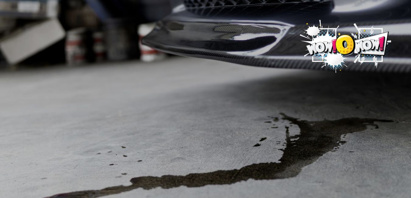 Leaking Oil After Oil Change