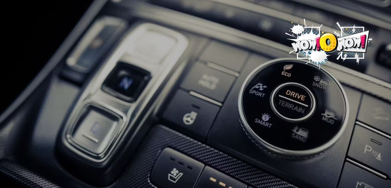 What Does DS Mean In A Car? - wowOwow What Does DS Mean In A Car? - wowOwow