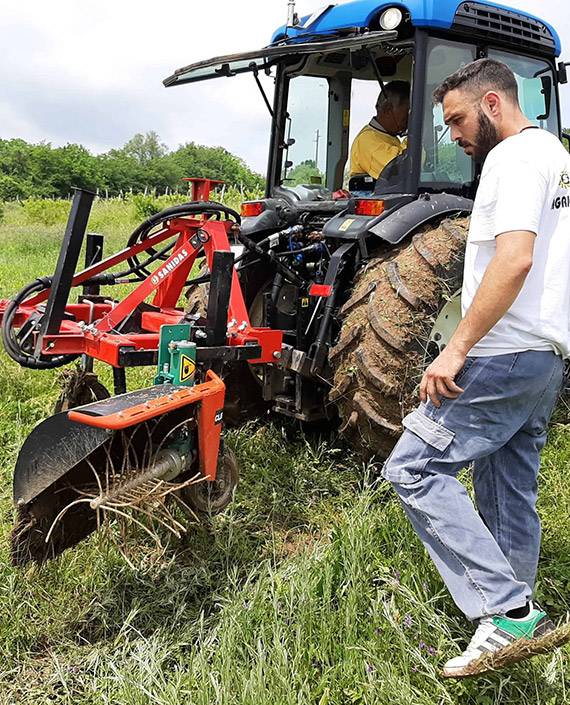 %%cf_inside_title%% - Digitalbox WordPress Project