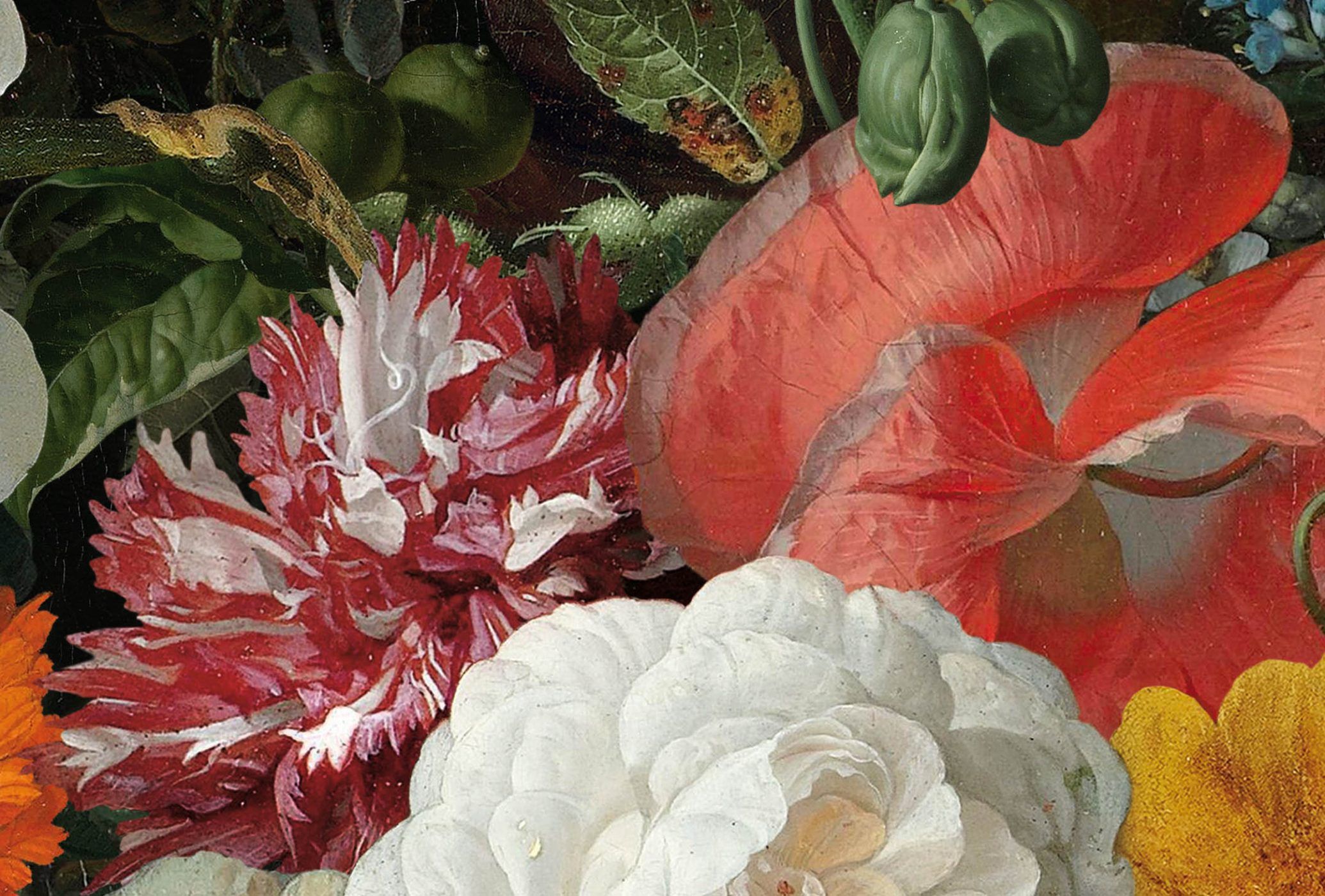 Bloemen behang Flower Power - Stories on the Wall