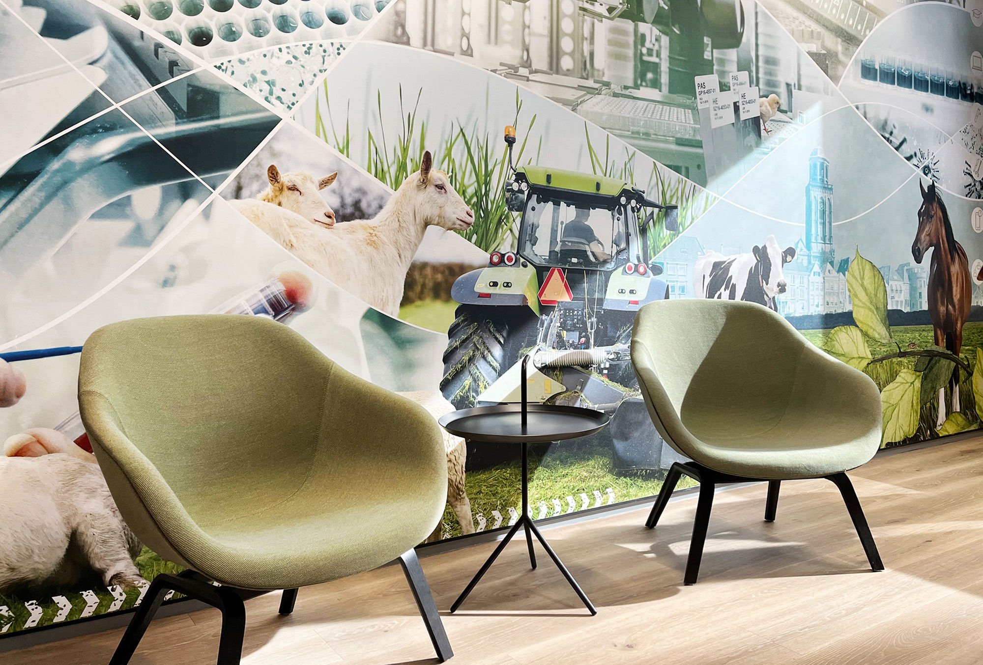 Visual voor GD Diergezondheid - Stories on the Wall