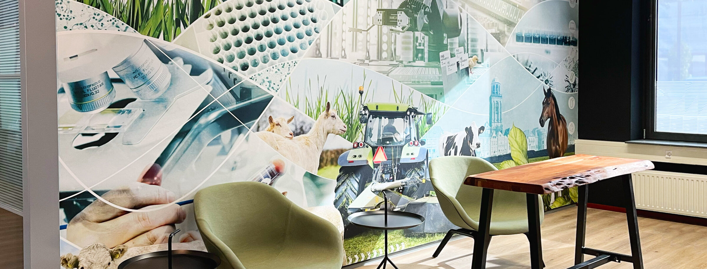 Creëer een sfeervolle ruimte met bijzonder behang