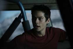 Chat, roleplay, and learn more about Stiles on Spellbound