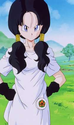 Chat, roleplay, and learn more about Videl on Spellbound