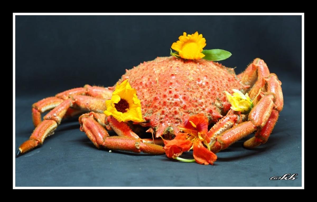 KRISS BLACHE : Galeries