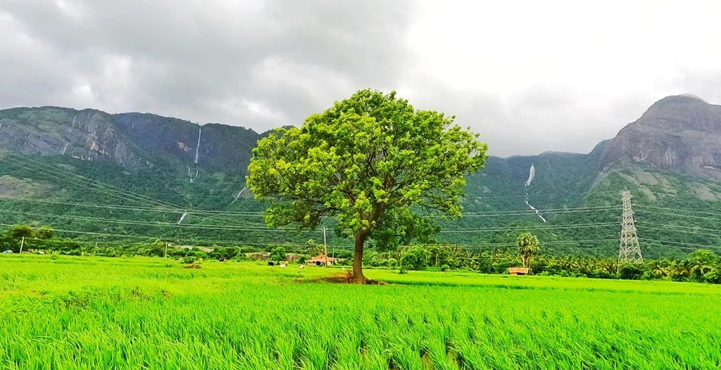 Welcome to Kerala Tourism - Official Website of Department of Tourism ...