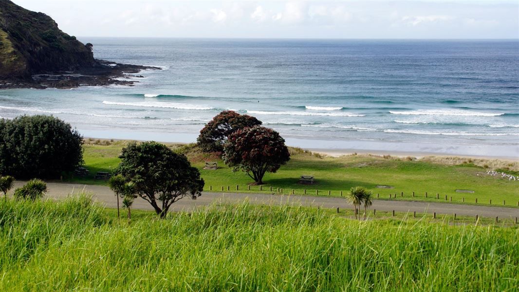 Discover Freedom Camping in New Zealand