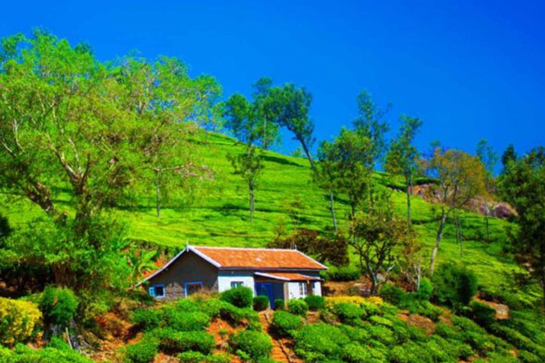 Weekend Tour Of Coonoor | 2 Night / 3 Days