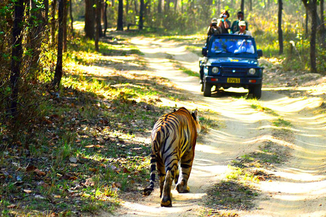 Corbett National Park Weekend Tour
