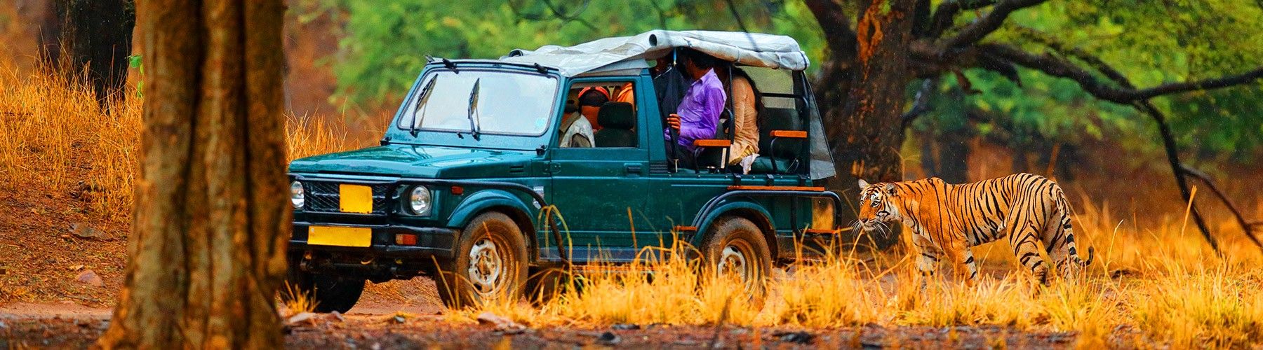 Wildlife Tour