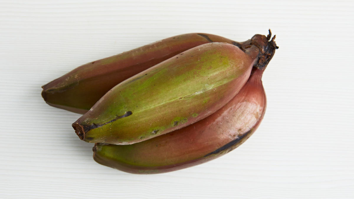 Guineo Morado Tropical Fruits, Edible Flowers, Puerto Rico | atelier ...