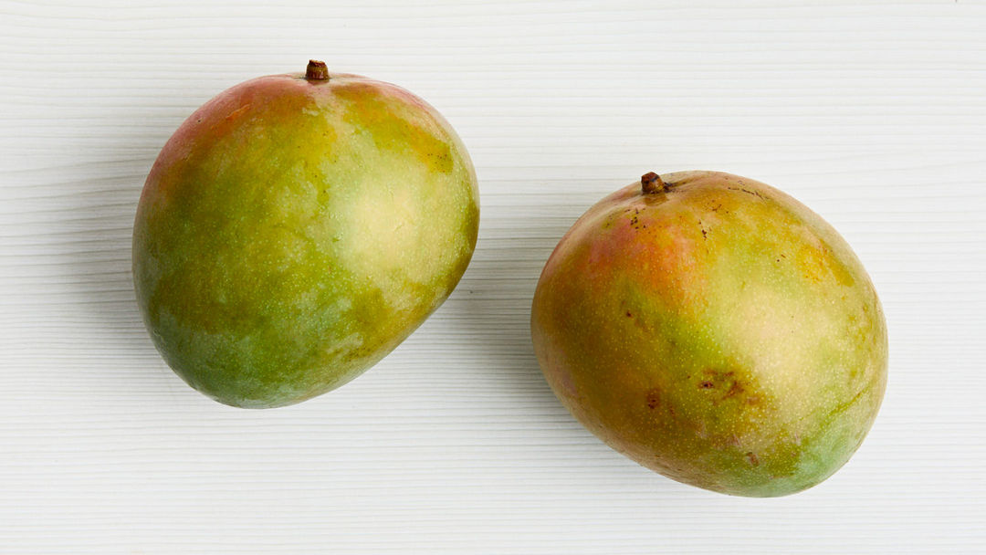 Kent Mango | Delivered to your door