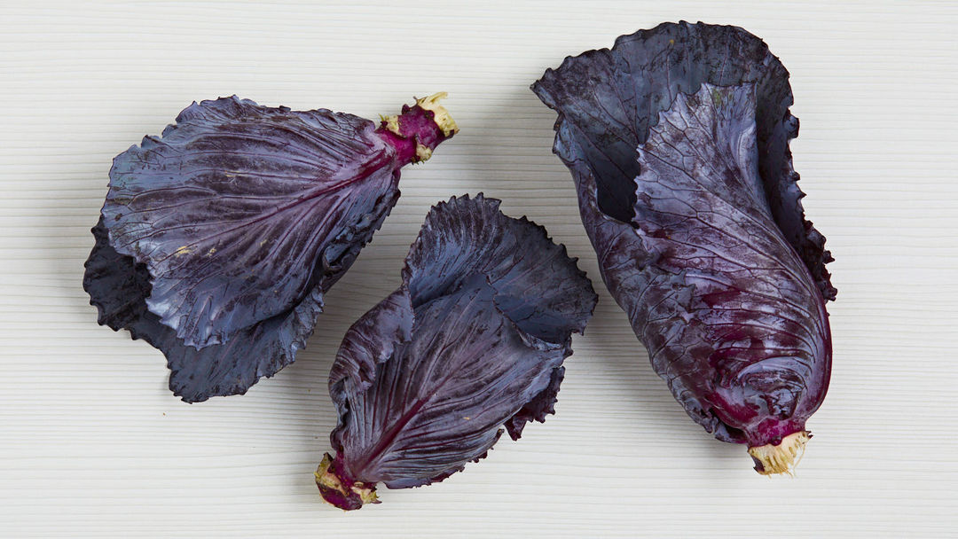 Repollo Lila | Entrega a tu puerta