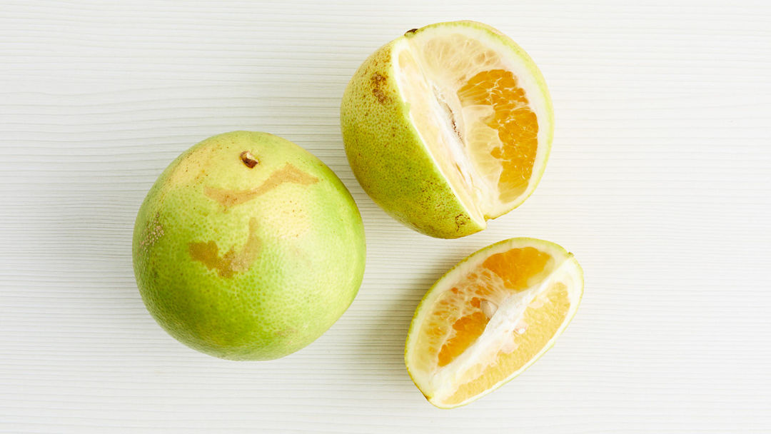 Chironja | Entrega a tu puerta